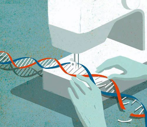 The birth of a genome edited baby