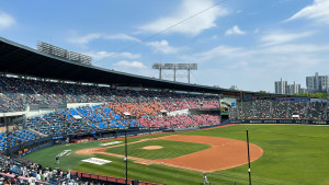 Again, It’s Baseball Time!